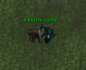 New Secret Pet Discovered: Battle Llama | Stratics Community Forums