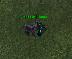 New Secret Pet Discovered: Battle Llama | Stratics Community Forums